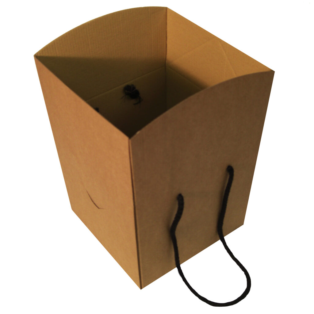 Ribbon Handle Paper Carrier Bags | Pac-hs packaging solutions